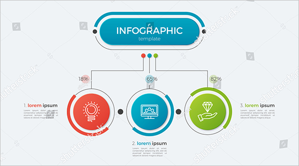 Infographic Brochure Vector Template