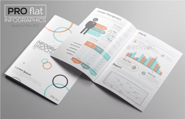 Pro Flat Infographic Brochure Set